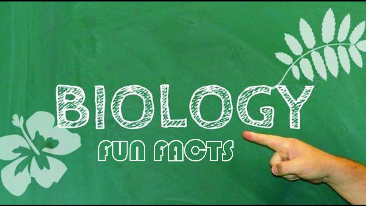 BIOLOGI DAN 10 FAKTA UNIK KEHIDUPAN YANG TERSIMPAN DIDALAMNYA - Sekolah ...